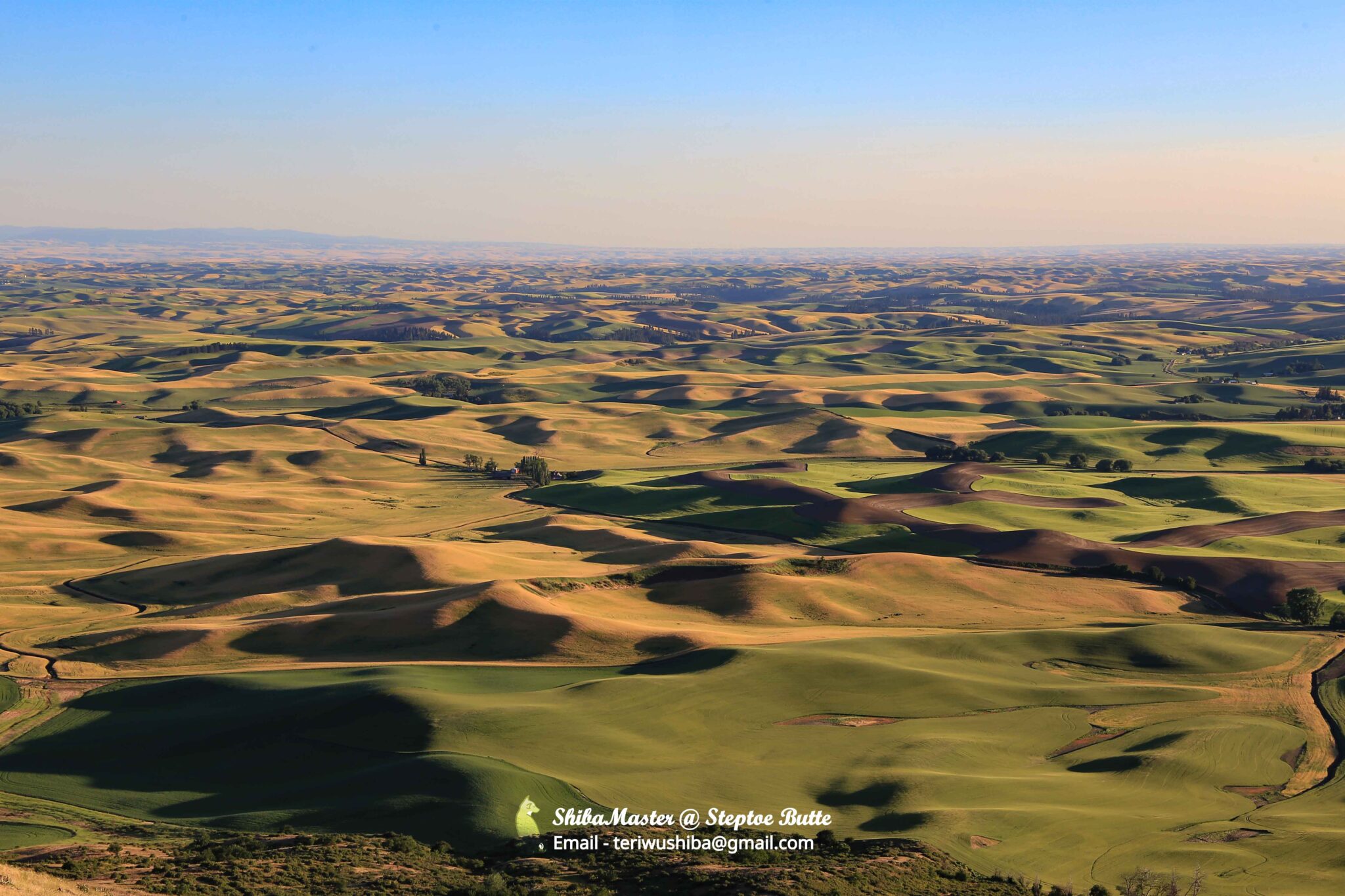 Into the Waves | 华州东部Palouse麦田游记攻略 - 猫和柴的野游