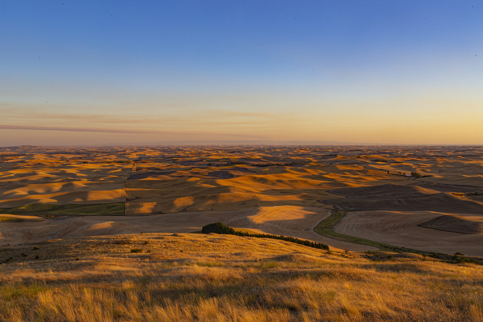 Palouse Area 帕鲁斯地区 - 猫和柴的野游