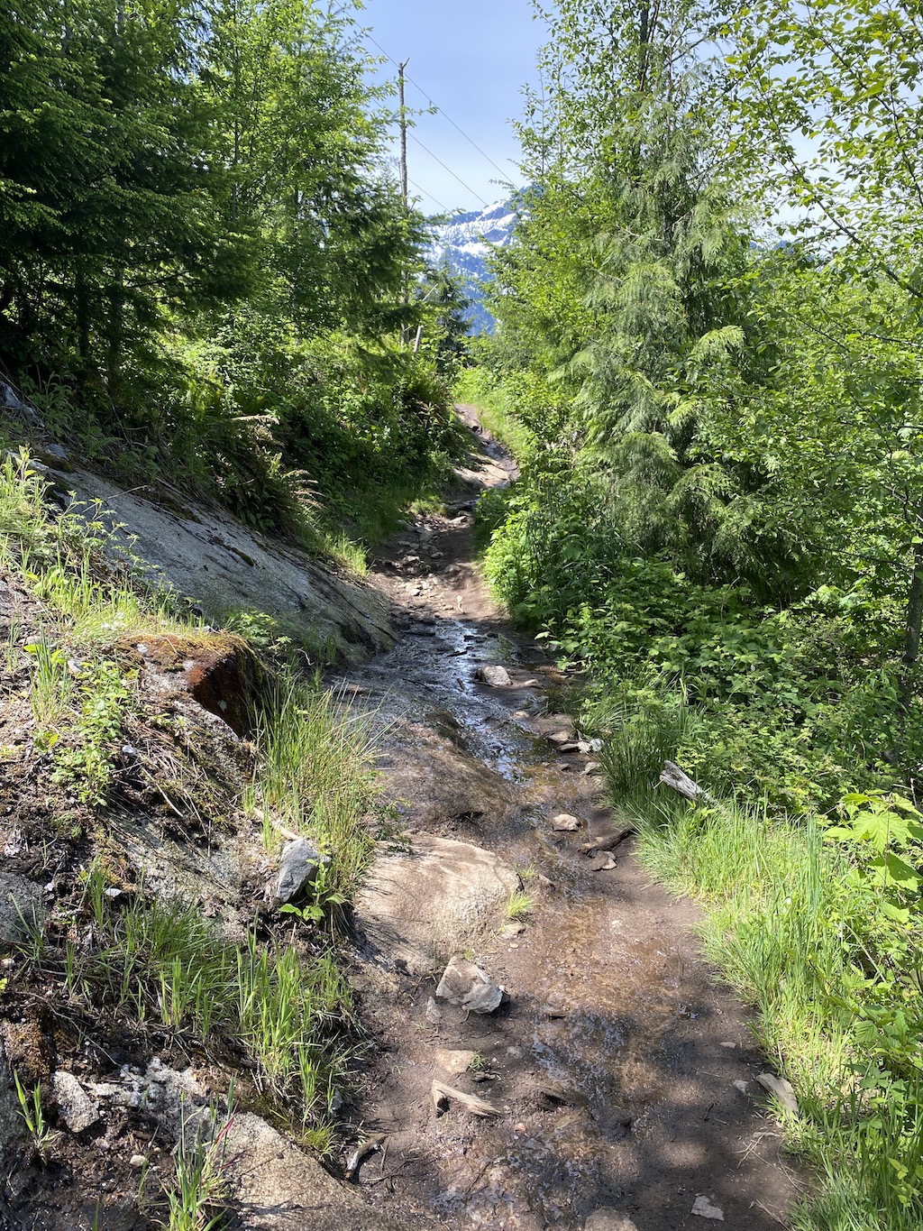 Heybrook Ridge & Heybrook Lookout | 西雅图旁小镇后山的隐藏彩蛋 - 猫和柴的野游